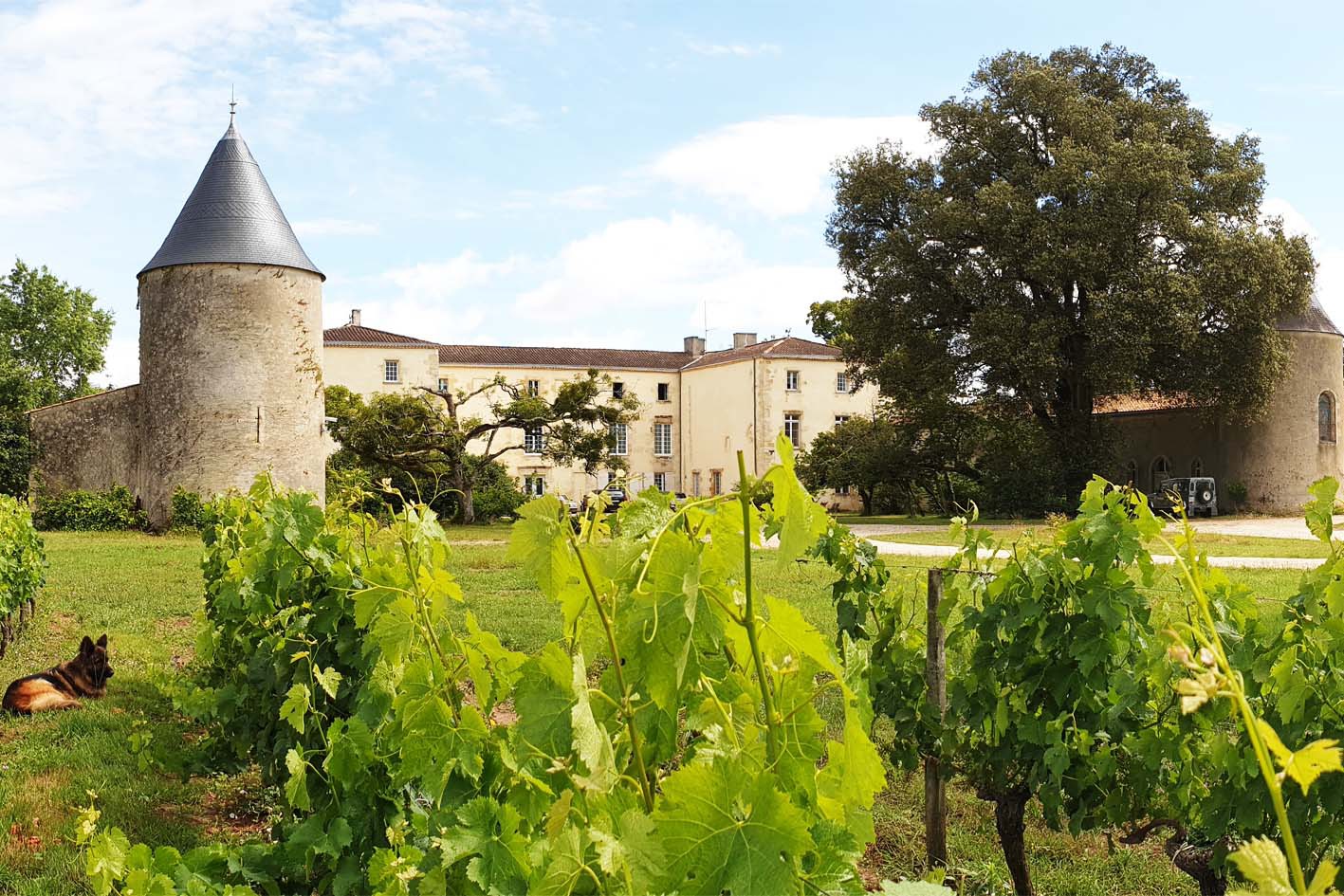 CHÂTEAU LIVRAN